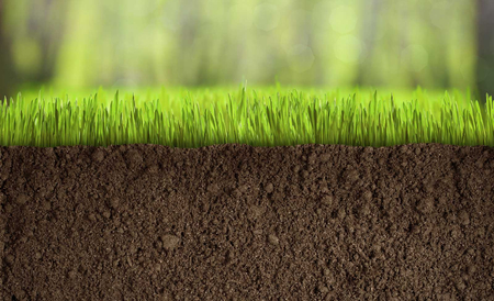 Enter green life. ПОСЕВ ГАЗОНА