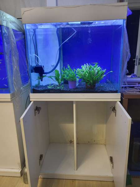 Akvarium sotiladi srochno