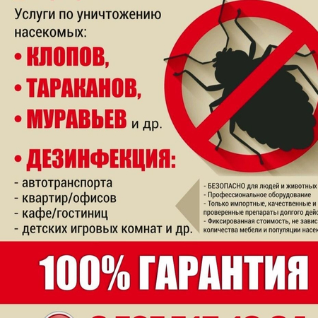 Гарантия 100% от клопов таракан сичкон дезинфекция dezinseksiya