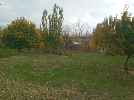 Uchaska sotiladi Parkentan