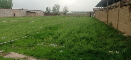 Yer sotiladi yunsobod hasanboyda 6sutu 200 000$min