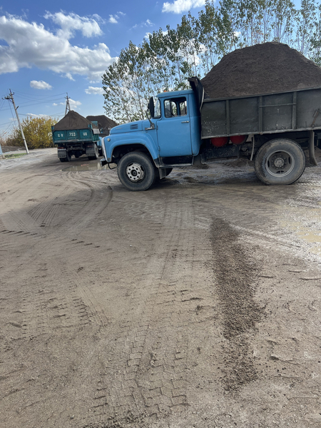 Клинец шебен песок шагал кум кампот