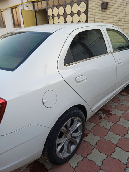 Cobalt 2022 polniy radnoy