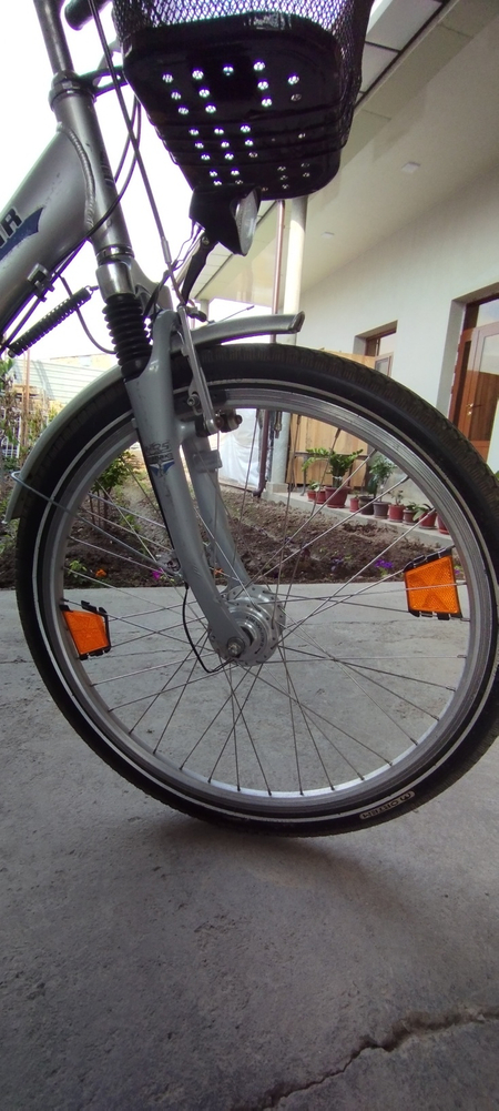 Velosapet alo star