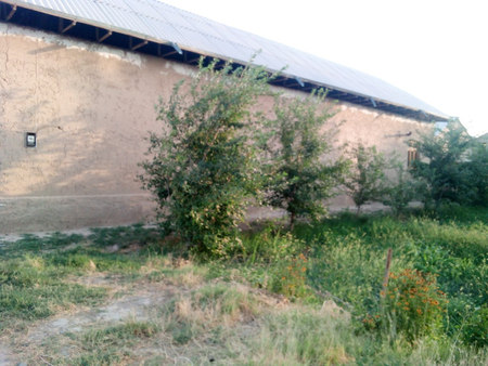 Продаеться дом в самаркандской области