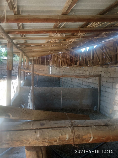 Yangi toshmidan 12km kirganda 8.9 sotu 5 xona