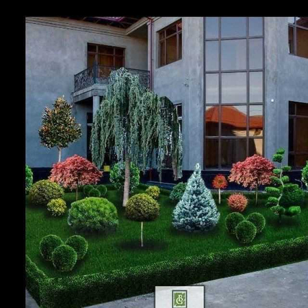 Gazon  o'rish xizmati