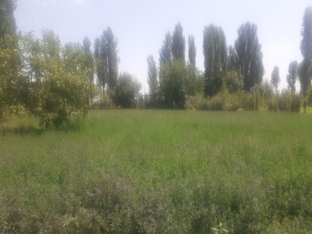 Uchaska pustoy 18 sotik