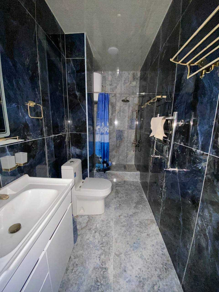 Royal House 1 линия шота руставели 55м2 Евро+меб+тех потолок 3;40
