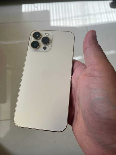 iPhone 13 pro max