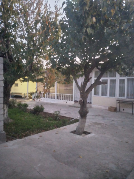 Uchastka tolabek