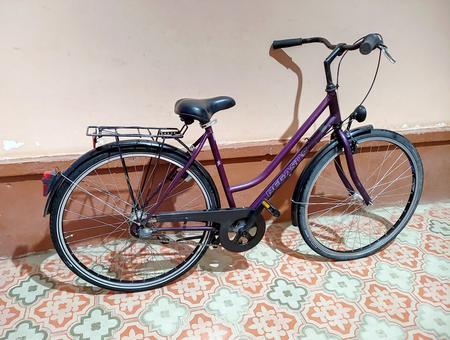 PEGASUS Germanskiy Velosiped