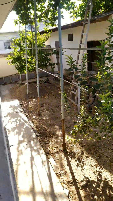 Yer sotiladi Sergeli tumani O\\\'zgarish mahalla 5 sotok 85.000$