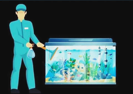 Профессиональная чистка аквариума Aqua life