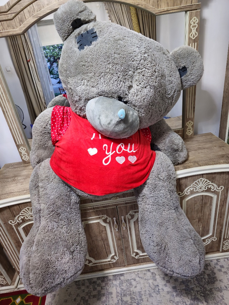 Teddy ayiq. Тедди
