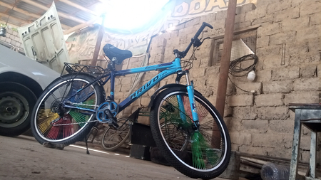 Velik 26 razmerda