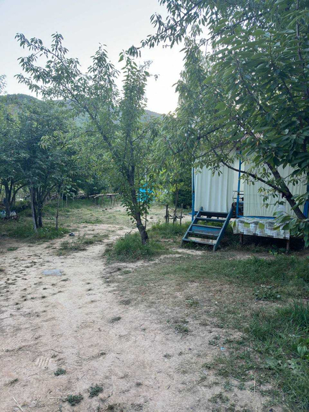 Срочно! ПРОДАЕТСЯ земельный участок в Хумсане Бустанлык ID:FRP162