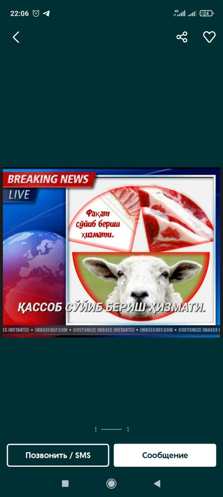 Qasob qoy soyish xizmati