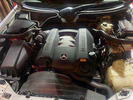 Mercedes Benz Avangarde
