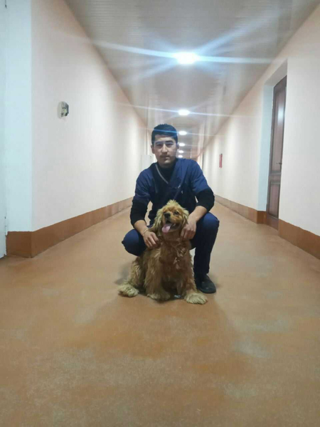 Veterinar xizmati