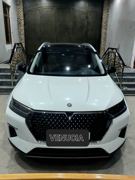 Dongfeng VENUCIA
