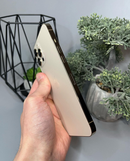 iPhone 12 Pro Max Gold Tozzasi