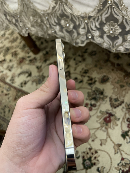 Iphone 12 pro max