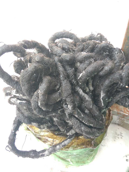 Moylik arqon  (кабьлка)