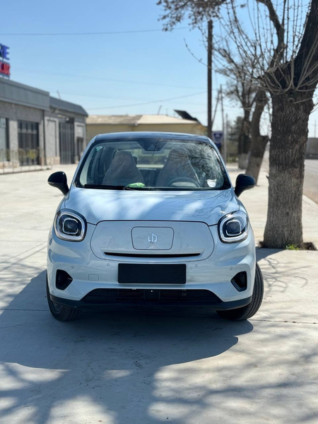 Leapmotor T03 smart share edition