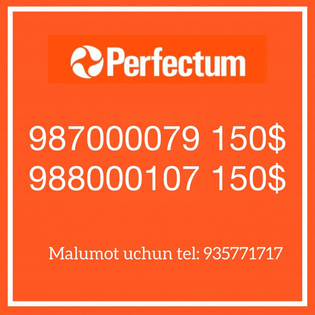 Perfectum nomer kuz skidka