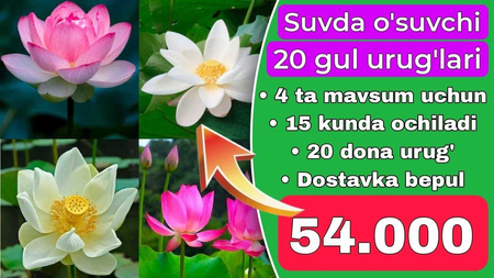 20 xil gul urug' narxlari - 20 kunda ochiladi | Bepul dostavka