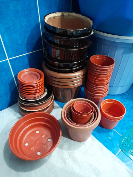Горшки для комнатных растений