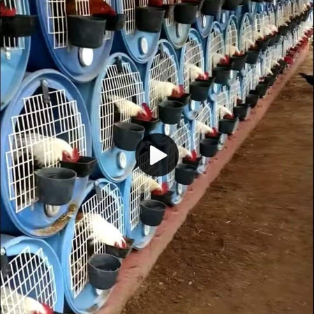 200litrlik plasmas butuni kesilmagan ideyalar uchun. Kop maqsadda ishl