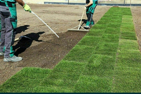 Tayor gazon palif mekra kilment lanshaf archa kesish xizmati