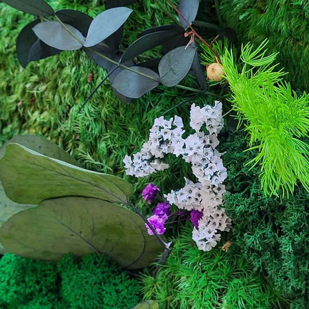 Панно из стабилизированного мха
