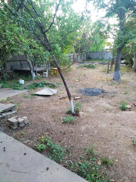 Dacha (dala xovli) sotiladi
