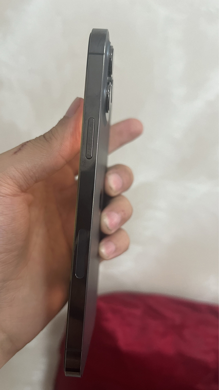 iphone 12 pro max ideal 10/10