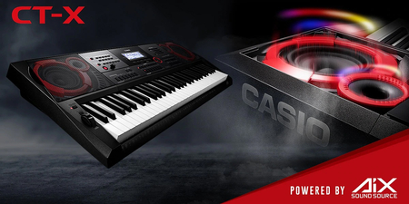 Casio CT-X 3000 отличный многофункциональный синтезатор. Флешку читает