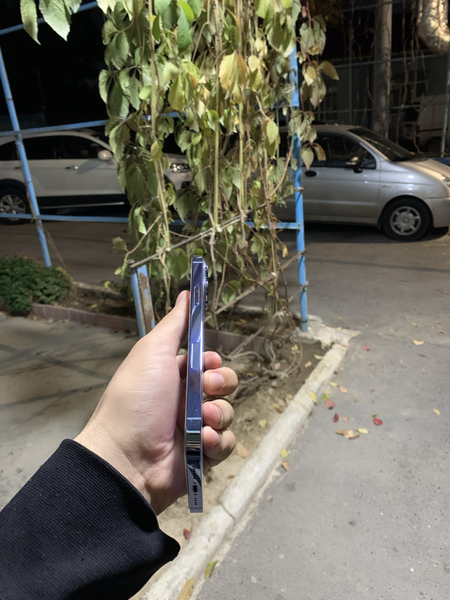 Iphone 13 pro max 256 gb