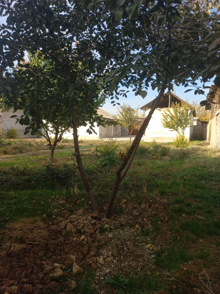 Yangi Toshkent uy sotiladi