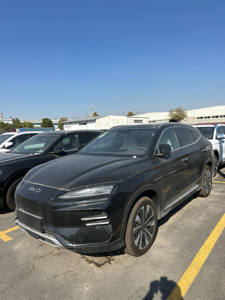 BYD Champion, 605km, 2025 model
