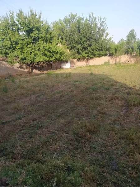 Uy sotiladi. Zudlik bilan pul zarur