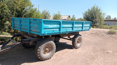 MTZ 80 Tiraktori, 2 teleshka, kepen,pulx,
