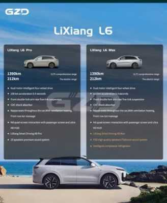Li L6 max Li 9 max л6 л7 л9 Garantiya bor.