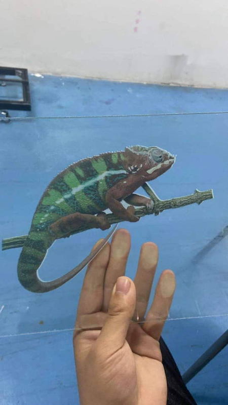 3D картинки, Печать на стенах