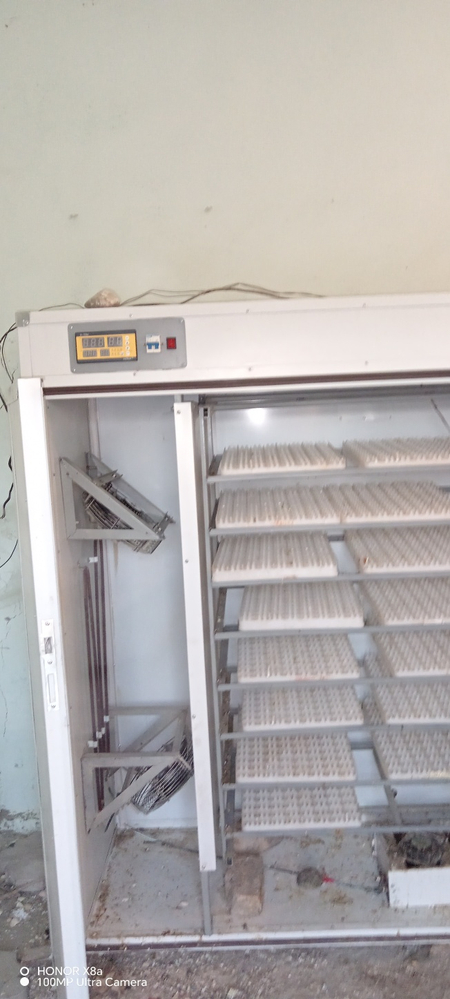 Inkubator 2200 talik
