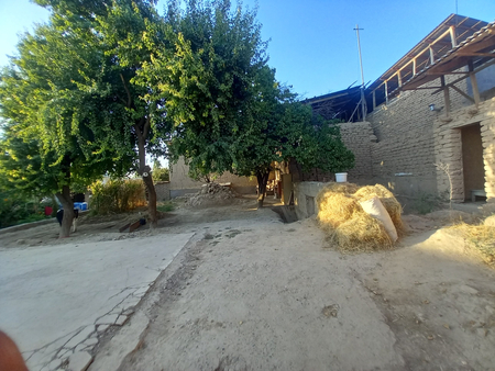 Zangiota. Bòzsuv. Ptitsa fabrika. 4sotik