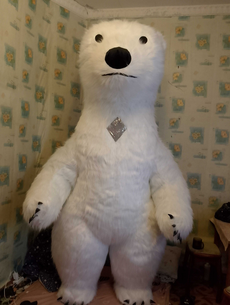 Ayiq va panda shouu
