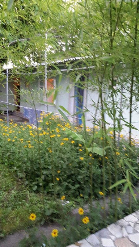 Продается дачный участок 12 соток в Яшнабадаском районе г.Ташкента.