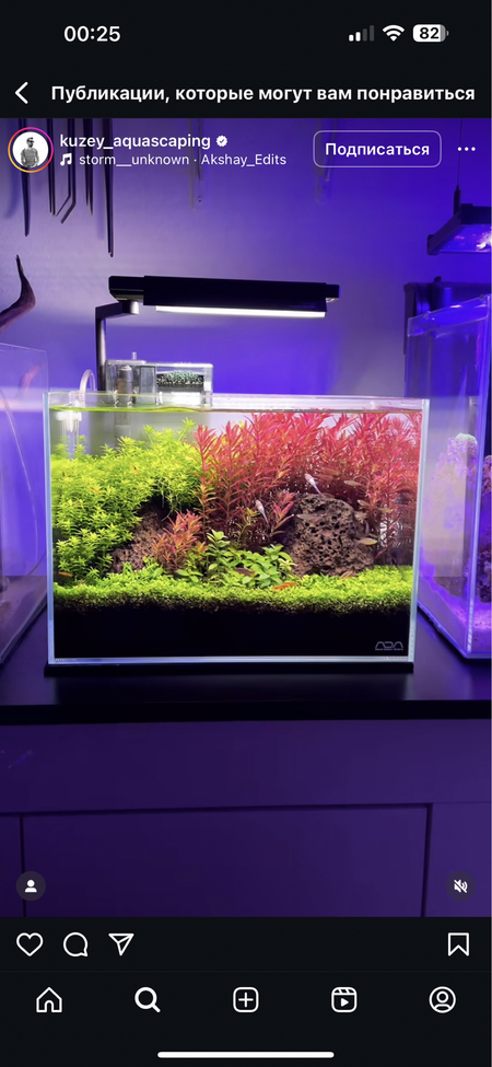 Akvarium xizmatlari - Bek Aquarium youtube